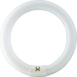 Philips TL-E 40W/830 Leuchtstofflampe G10q 3200lm 40,8W 3000K 830 ...